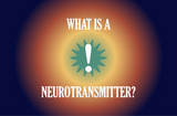 The Neurotransmitters produced in the Gut: GABA, Serotonin, Dopamine,