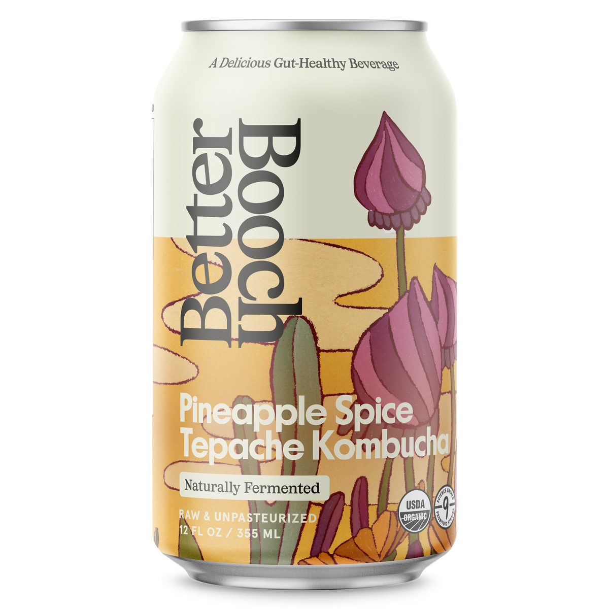 Pineapple Spice Tepache (12oz Can - 12 Pack)